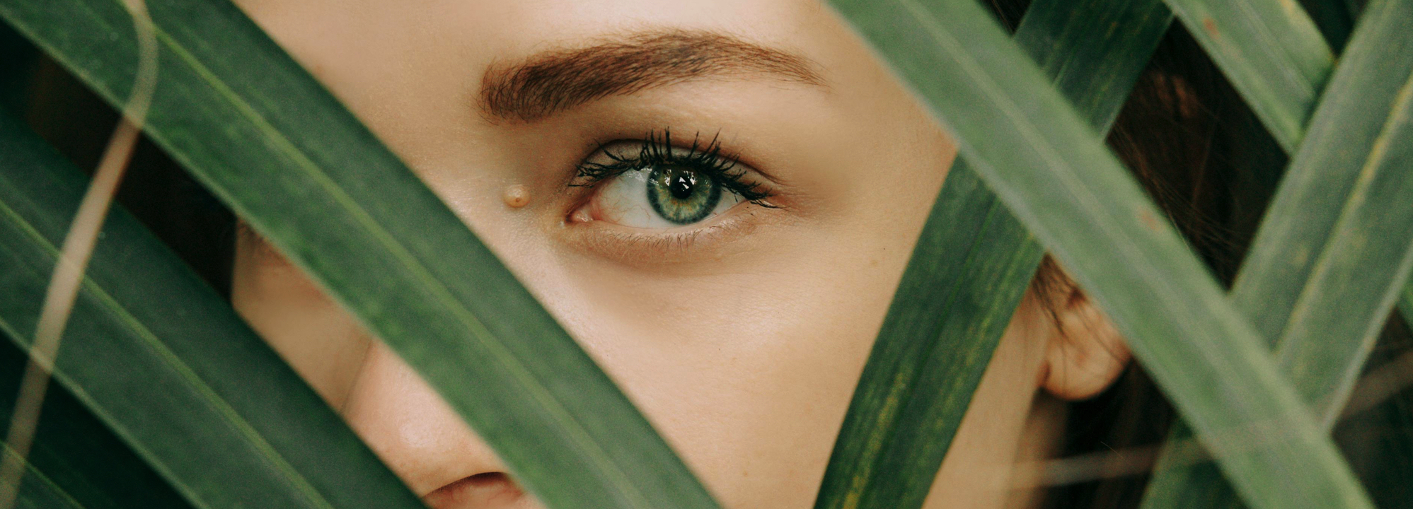 Cosmetic Tattooing Competition with Lance King - Green Finance Group